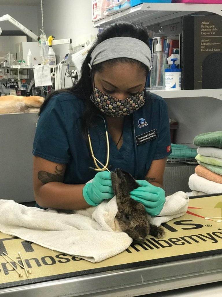 Pet Gallery - Animal Medical Center & Bird Clinic Of Hollywood